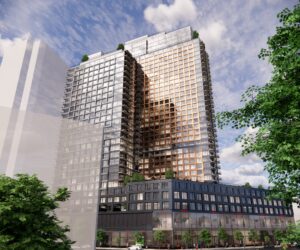 Portfolio – Cladiator